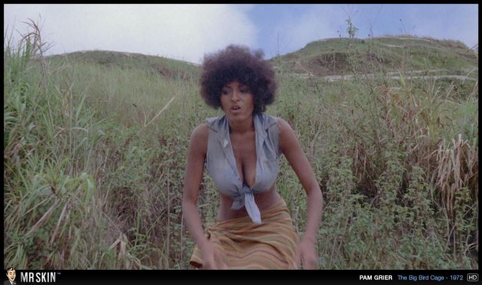 Tbt To Pam Griers Badass Nudity